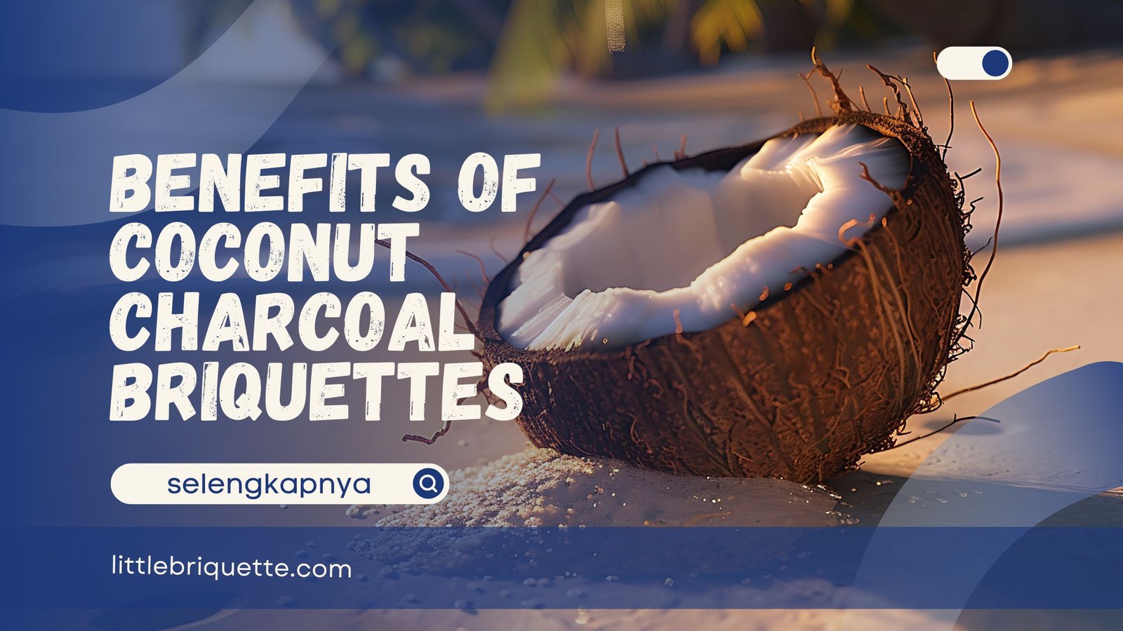 Benefits of Coconut Charcoal Briquettes for Cooking and Industry