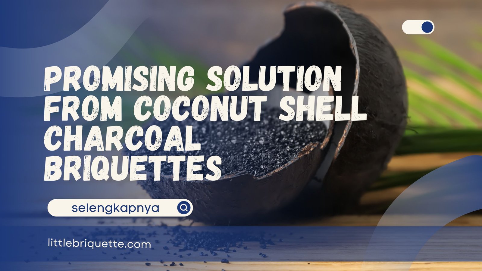 Coconut Shell Charcoal Briquettes - Renewable Energy from Waste