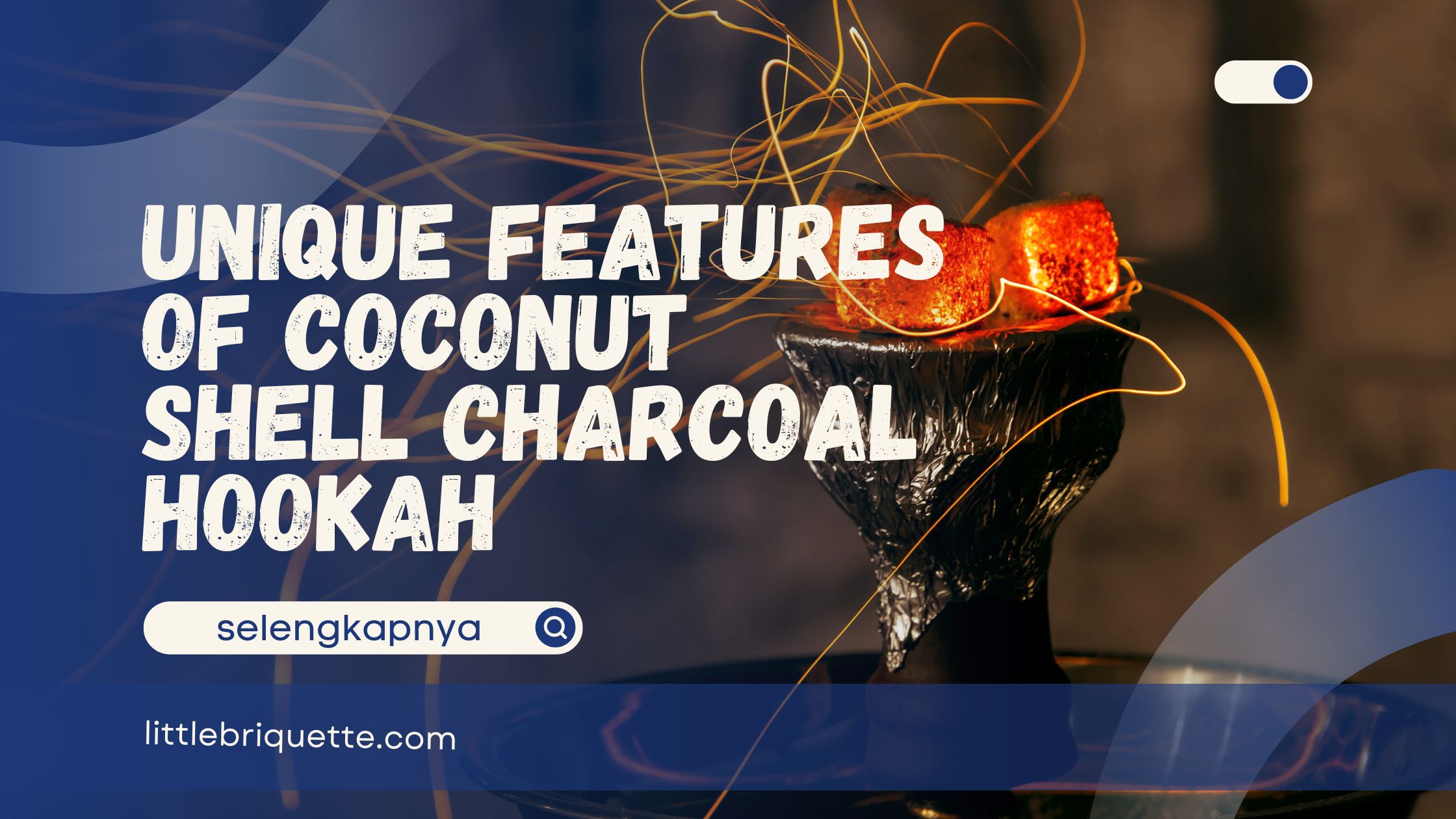 Coconut Shell Charcoal Hookah for The Best Experience