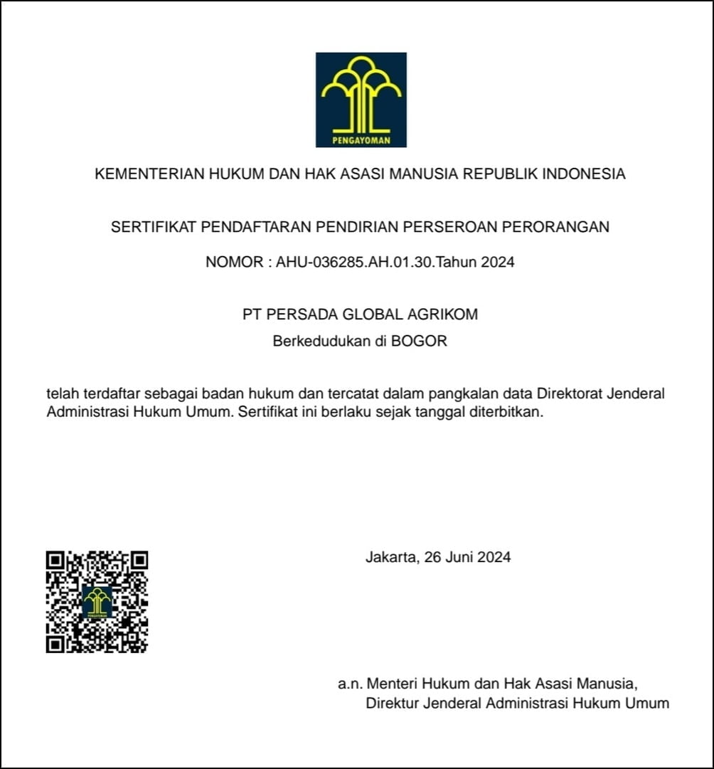 Coconut Charcoal Briquettes Supplier Indonesia