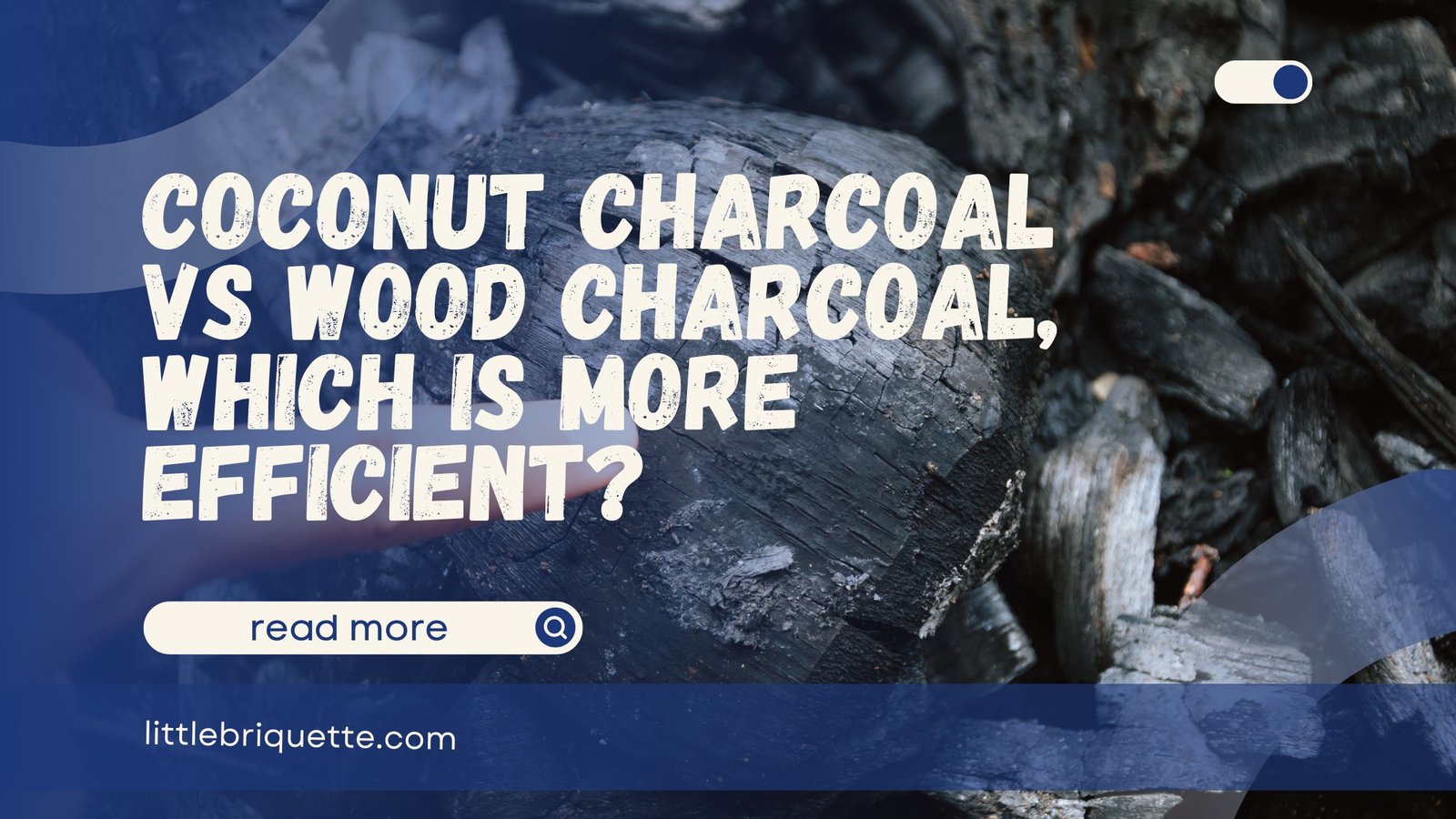 Coconut Charcoal vs Wood Charcoal, Which is More Efficient?