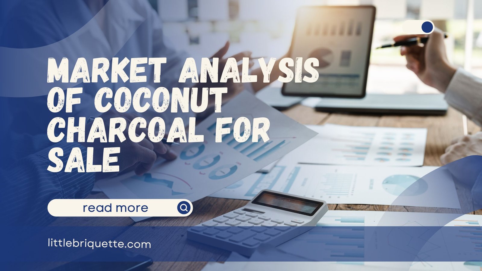 Exploring the Market Potential of Coconut Shell Charcoal for Sale