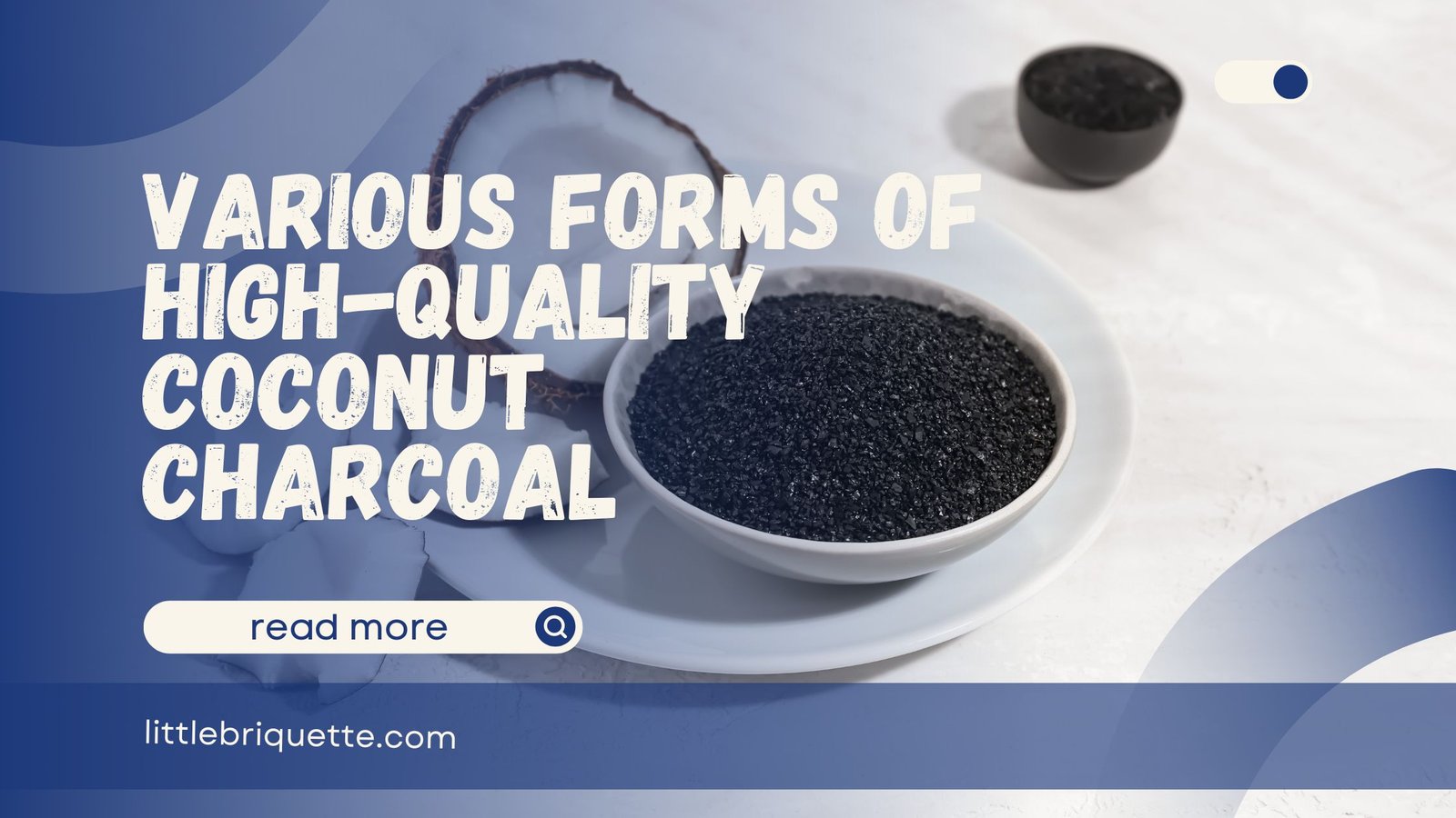 Various Forms of High-Quality Coconut Charcoal