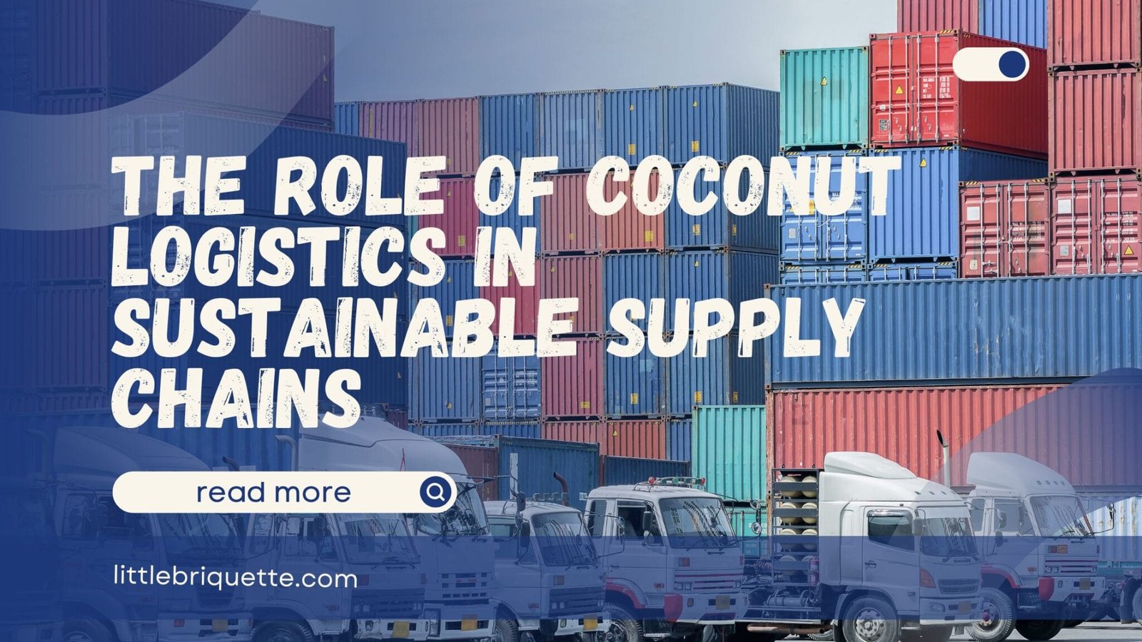The Role of Coconut Logistics in Sustainable Supply Chains