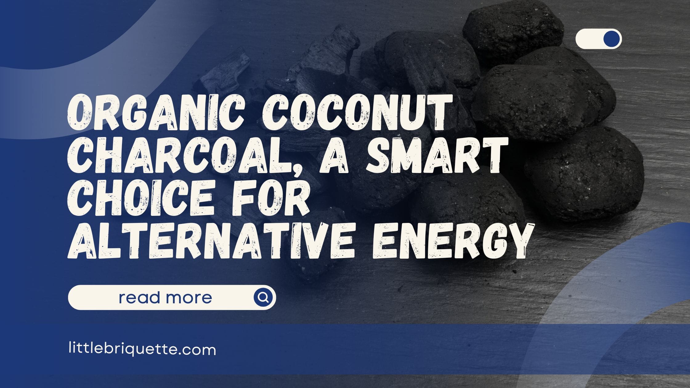 Organic Coconut Charcoal, a Smart Choice for Alternative Energy