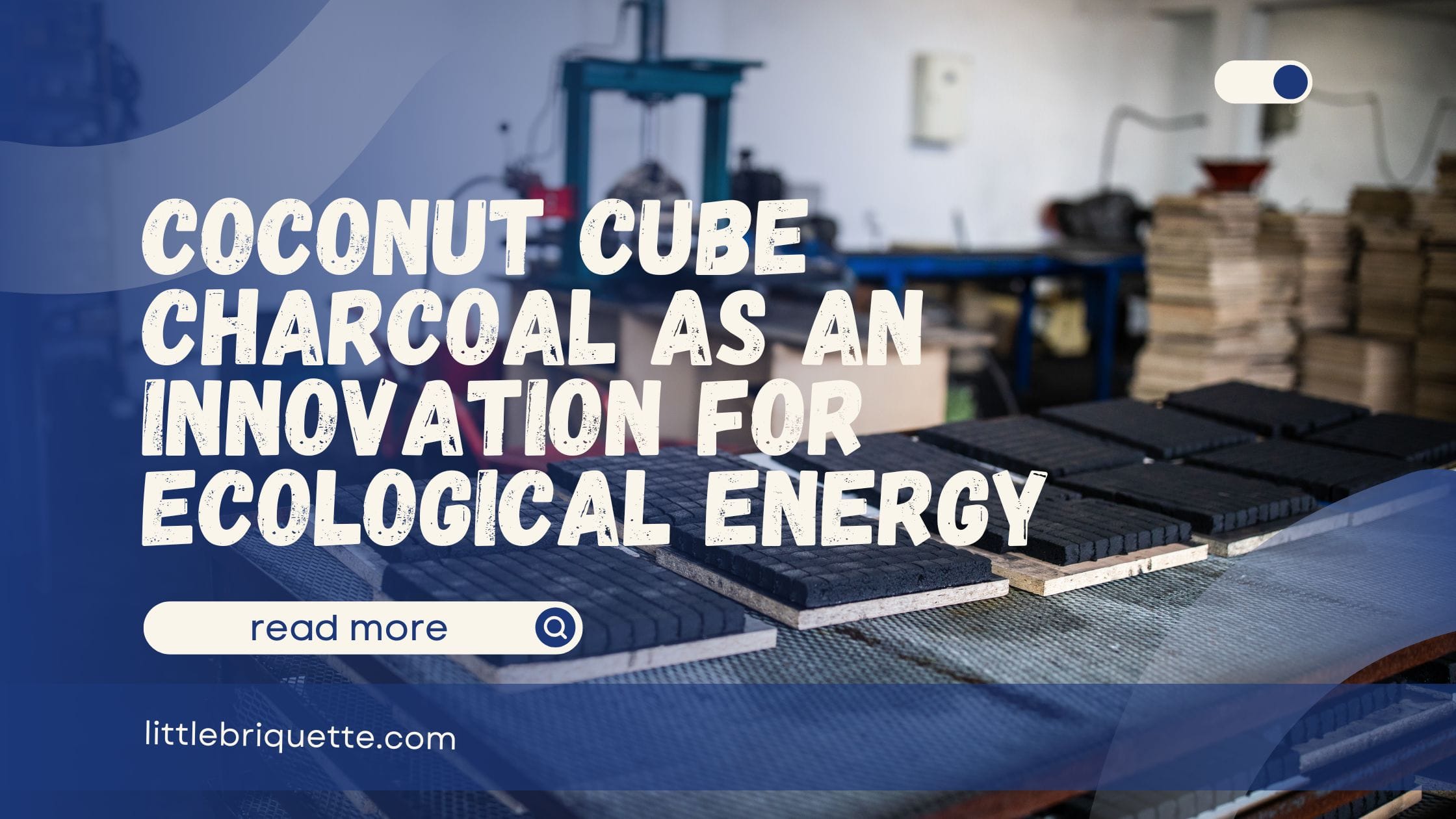 Coconut Cube Charcoal as an Innovation for Ecological Energy